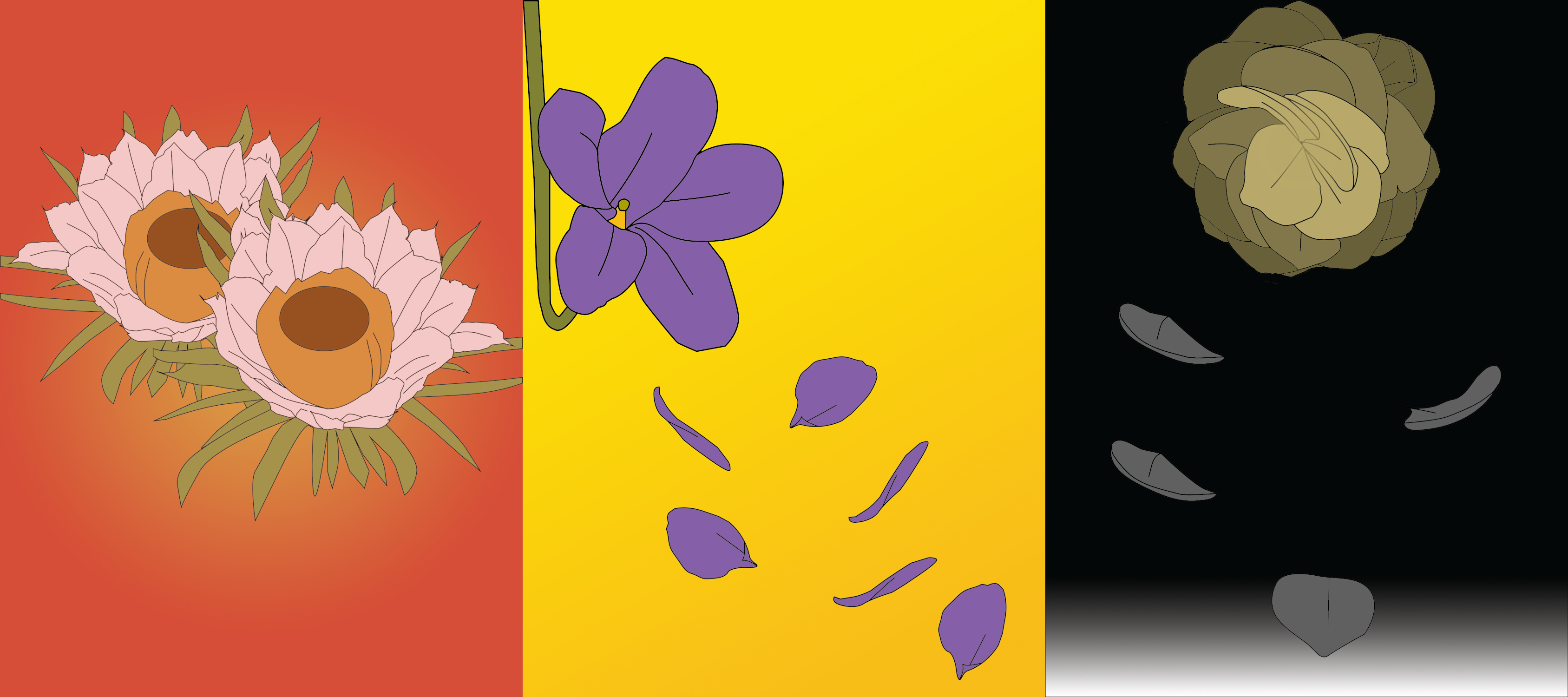 Matthew Tunney – Graphic Designer, Artist